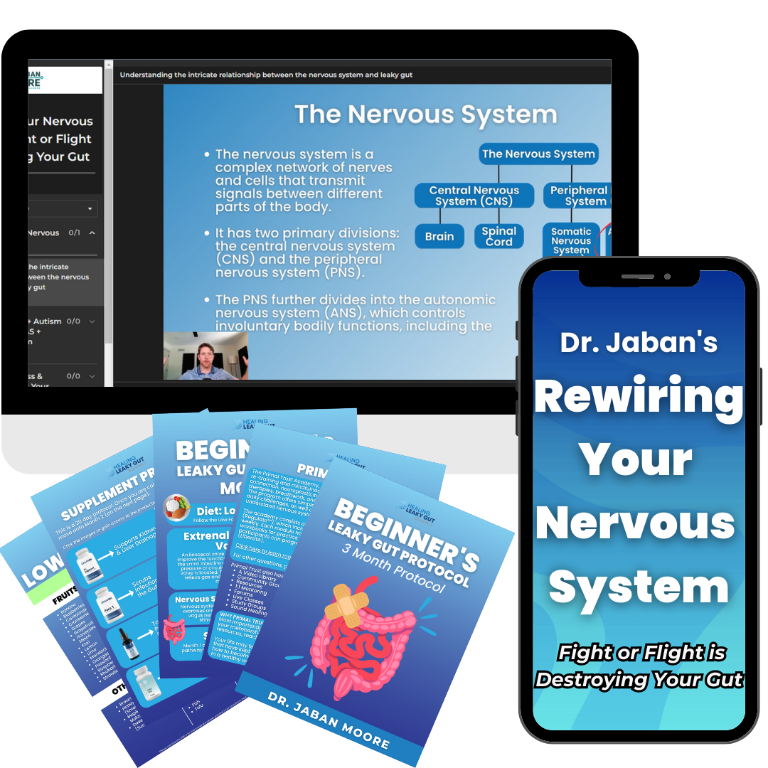 Dr. Jaban's Virtual Rewiring Nervous System & Gut Course – Synergized Supplements